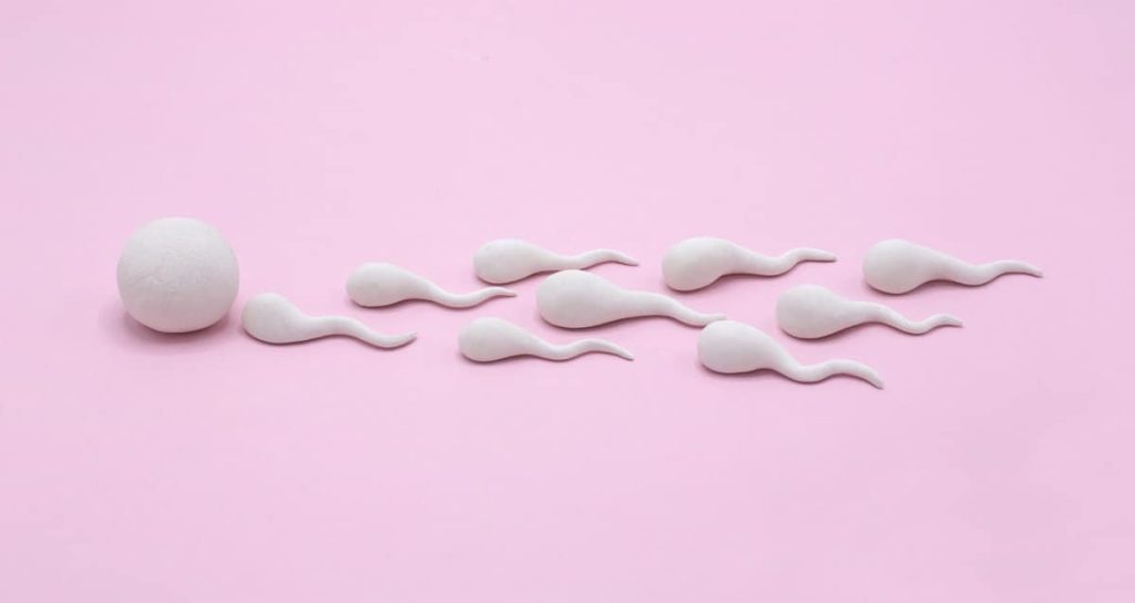 Intra-Uterine Insemination (IUI) in Mthatha